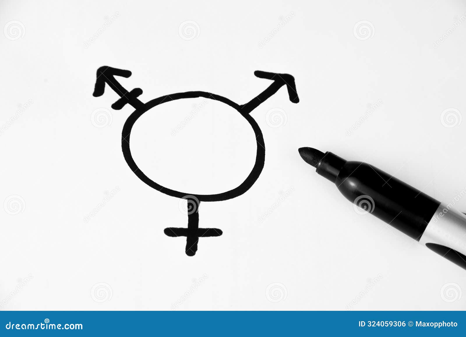Transgender Sign Symbol Drawn by Hand Stock Photo - Image of sexual ...