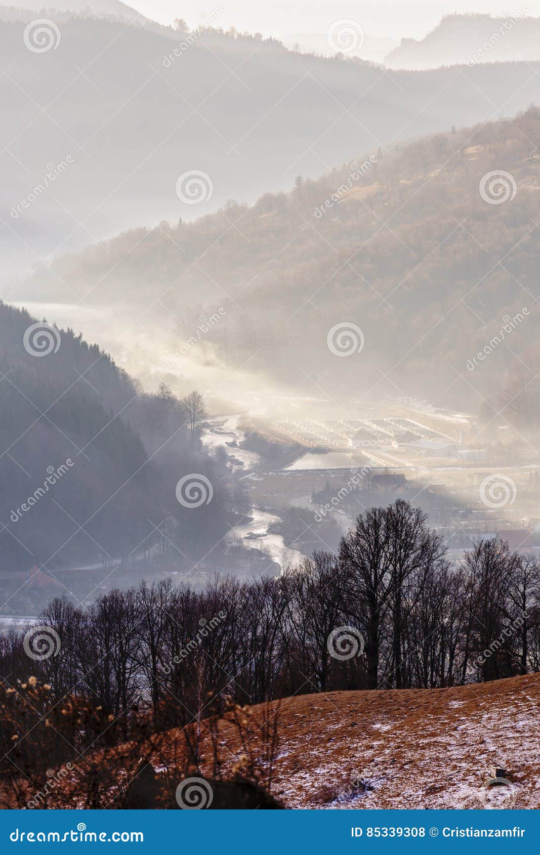 Transition Period between Autumn Winter Stock Photo - Image of ...