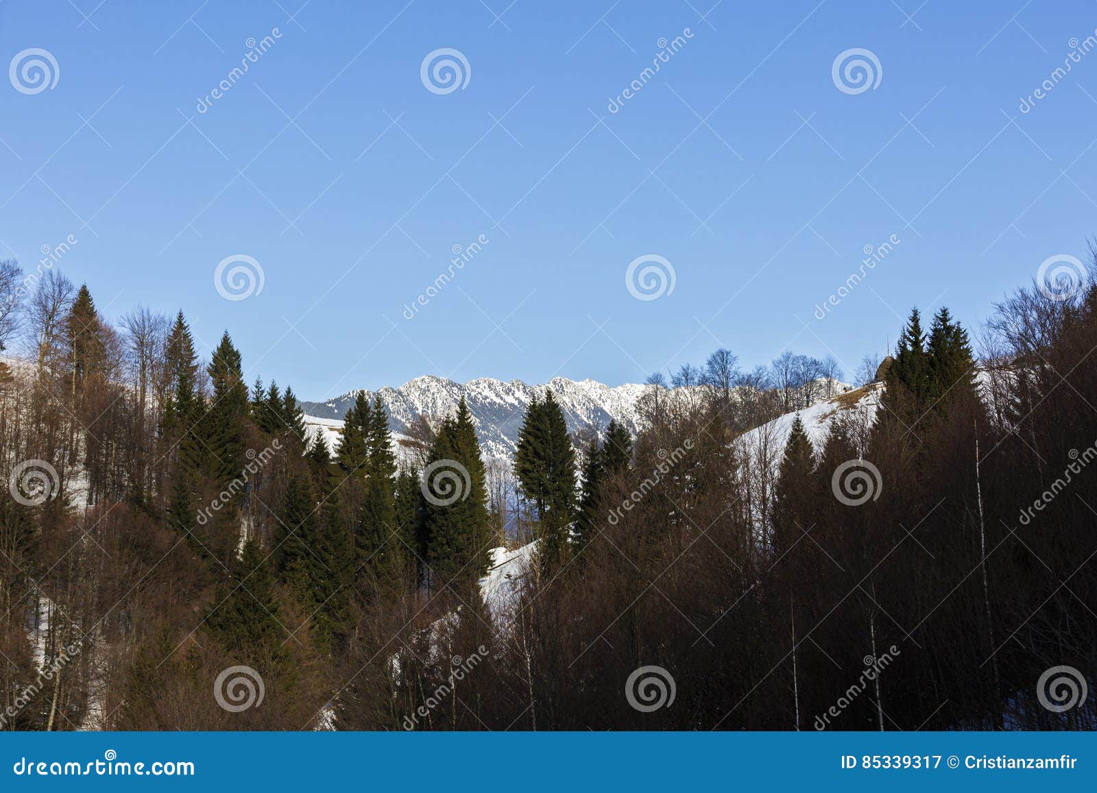 Transition Period between Autumn Winter Stock Image - Image of frost ...