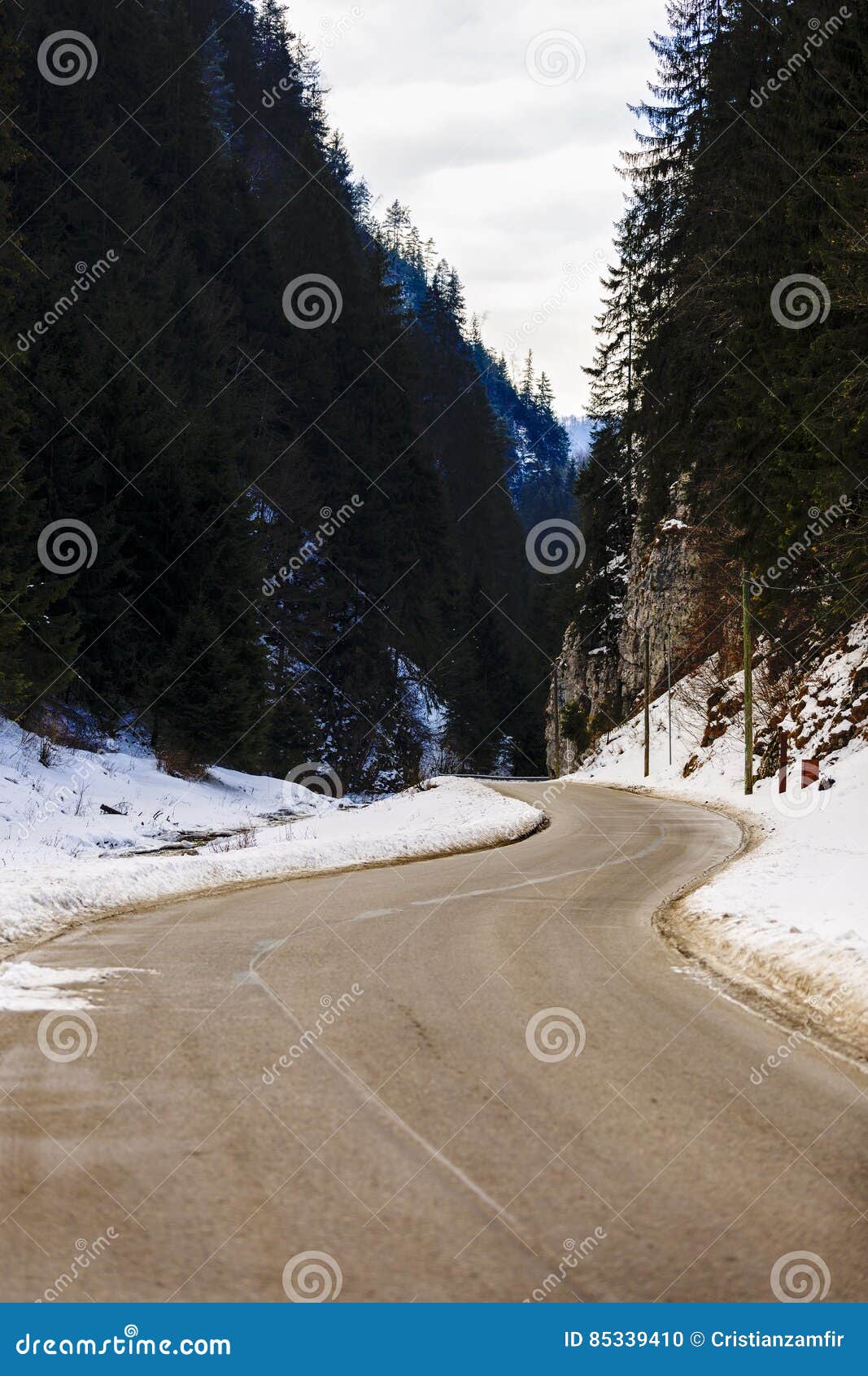 Transition Period between Autumn Stock Photo - Image of color, grass ...