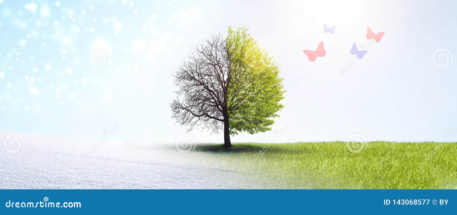 Transition of Season stock image. Image of tree, summertime - 143068577