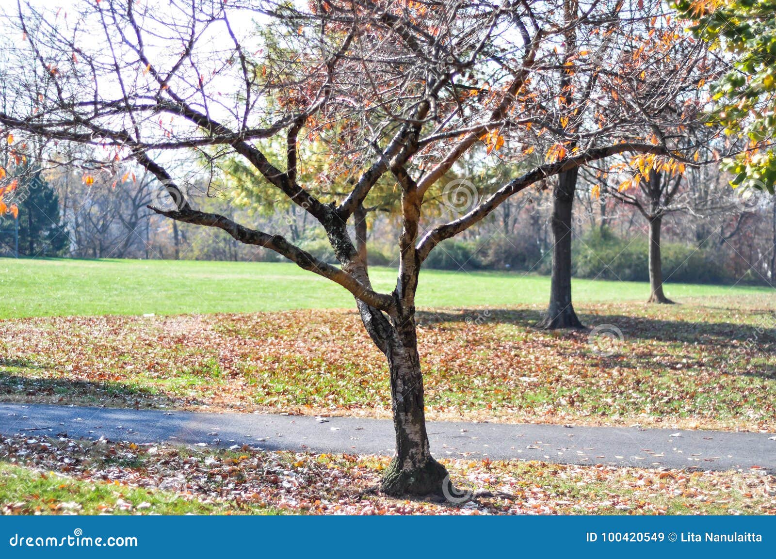 Transition stock image. Image of decorations, decor - 100420549