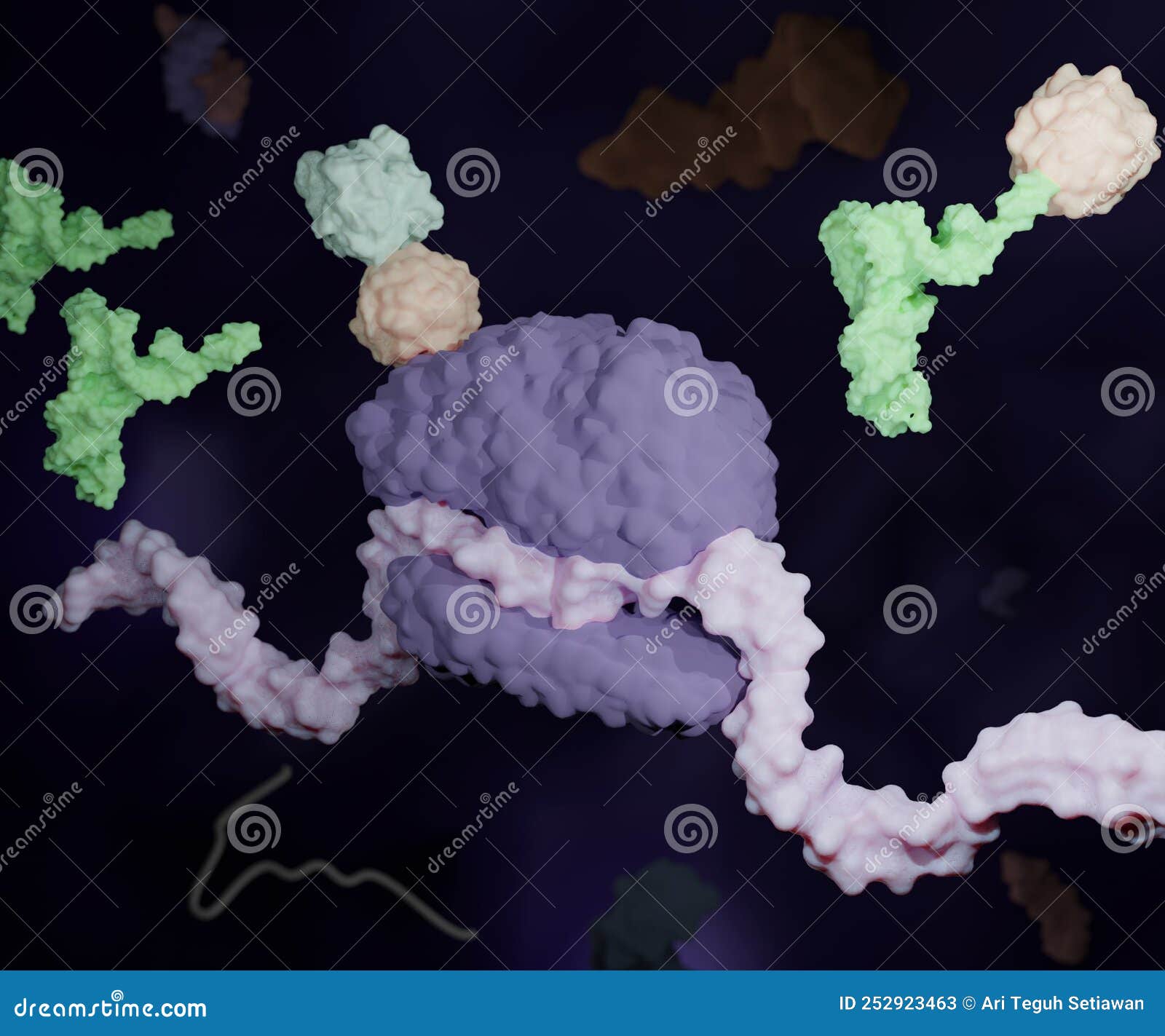 Scheme Of The Translation Process. Syntesis Of MRNA From DNA In The ... Scheme Of The Translation Process. Syntesis Of MRNA From DNA In The ...