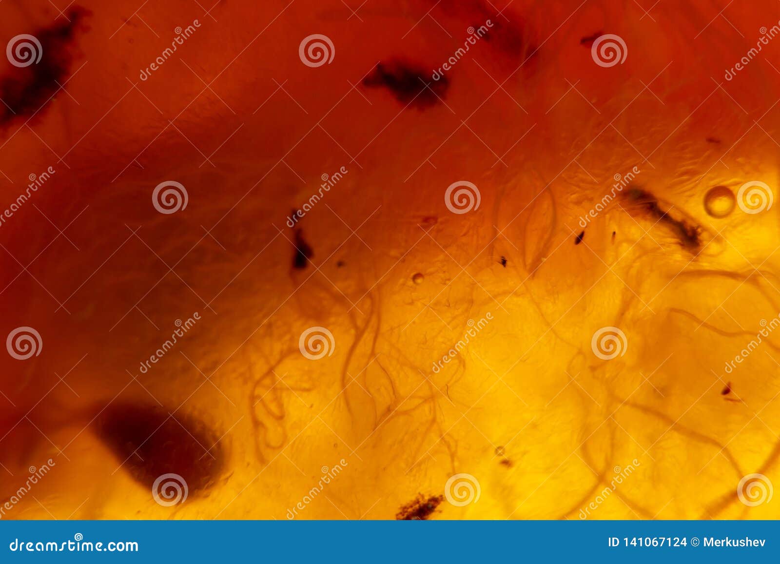 Translucent Backlit Fruit Pulp Close-up. Abstract Flesh and Fibers ...