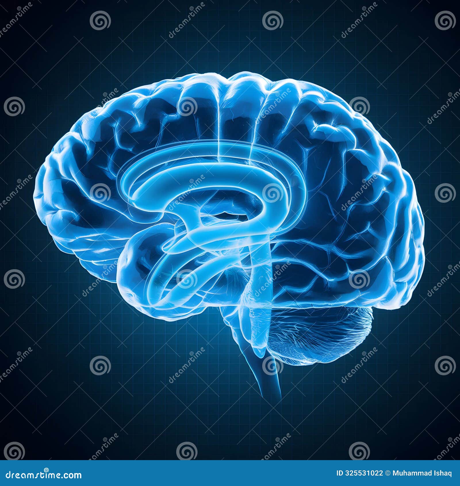 Translucent Blue Brain on Dark Grid Neural Pathways Highlighted Stock ...