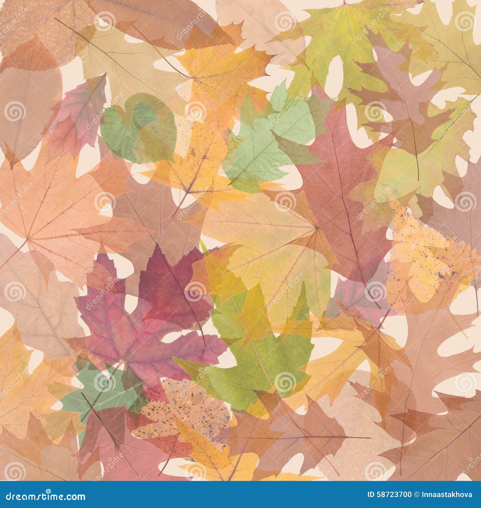 Translucent colored autumn stock photo. Image of ideas - 58723700
