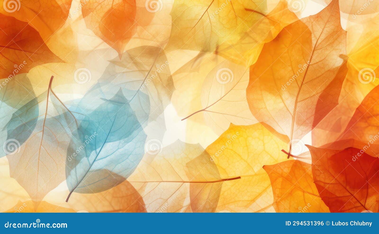 Translucent Fallen Autumn Leaves. Fall Autumn Background Stock ...