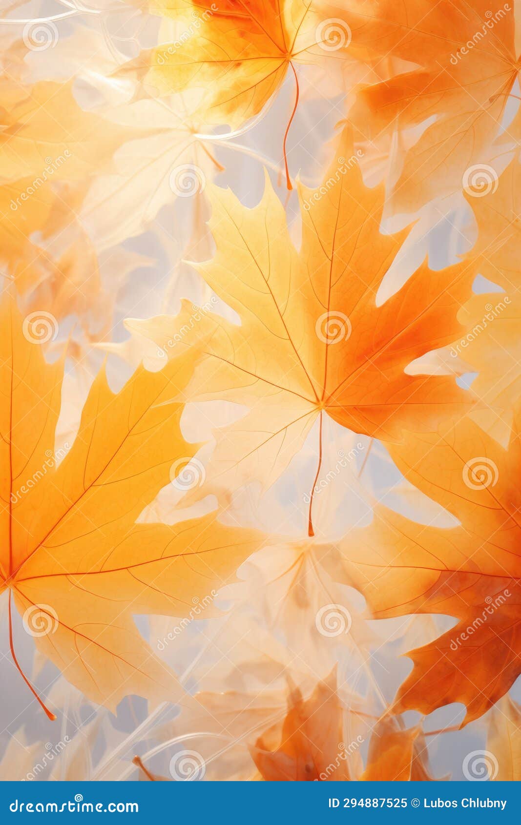 Translucent Fallen Autumn Leaves. Fall Autumn Background Stock ...