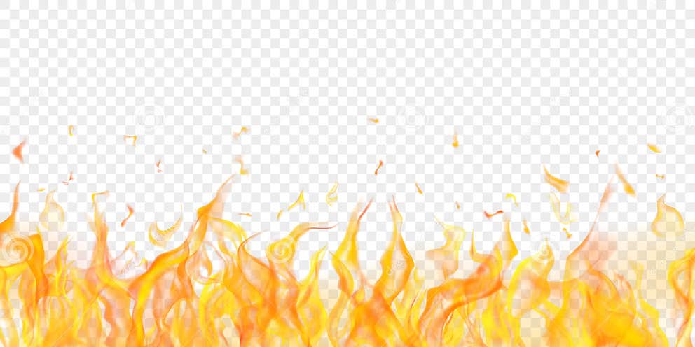 Translucent fire flames stock illustration. Illustration of flames ...