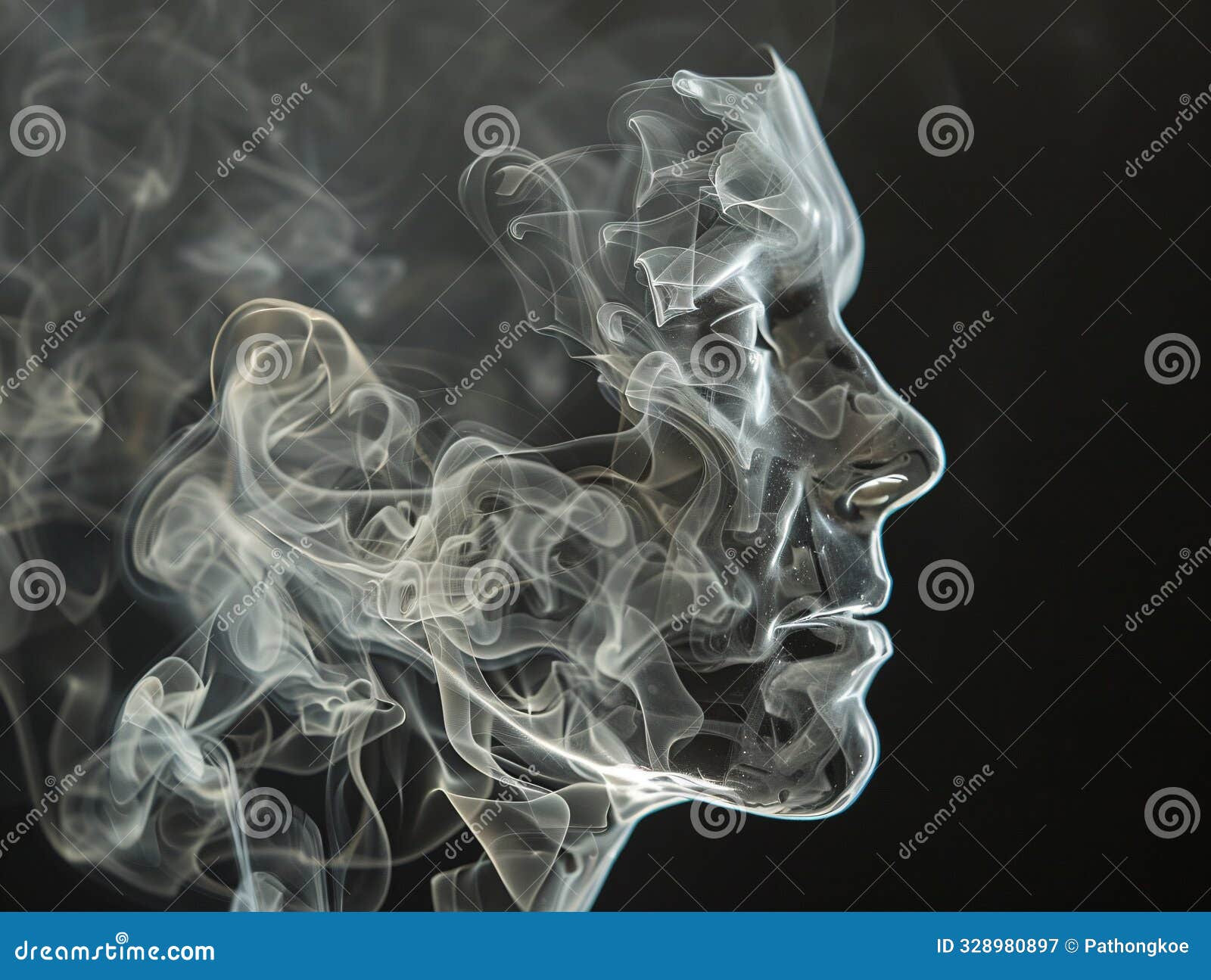 Translucent Human Torso, Highlighting Internal Organs And Skeletal ...