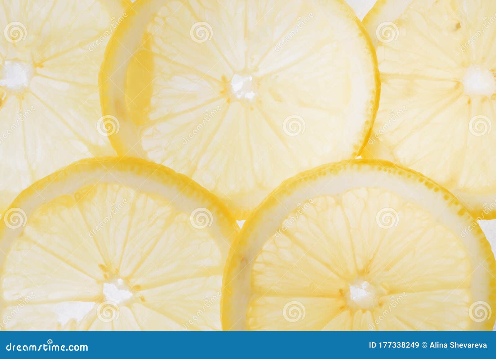 Translucent Lemon Slices on a White Background, Citrus Fruit Slices ...