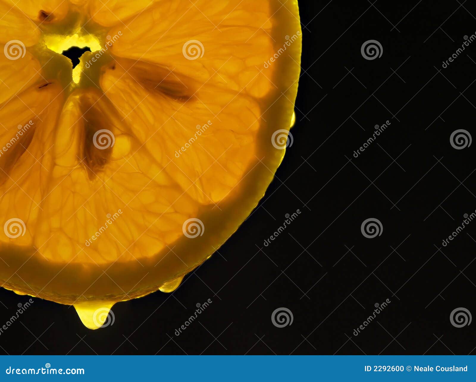 Translucent Orange stock photo. Image of pulp, segments - 2292600