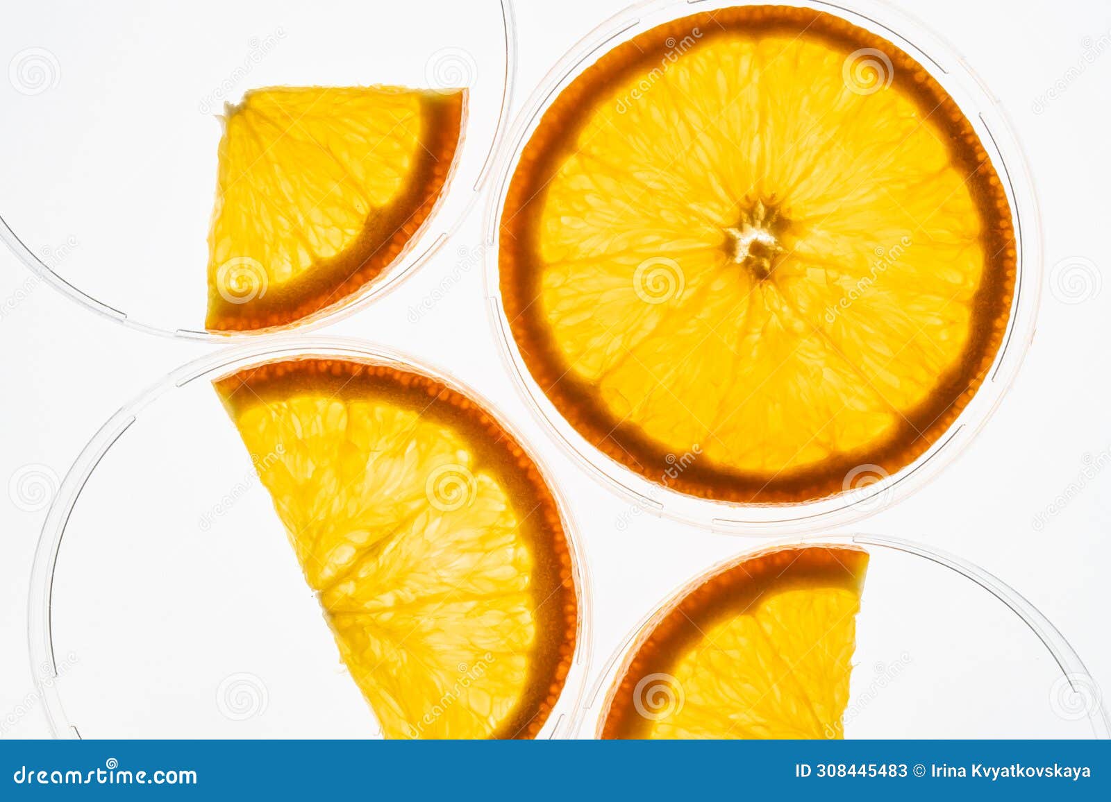 Translucent Orange Slices Isolated on White Backlit Background Stock ...