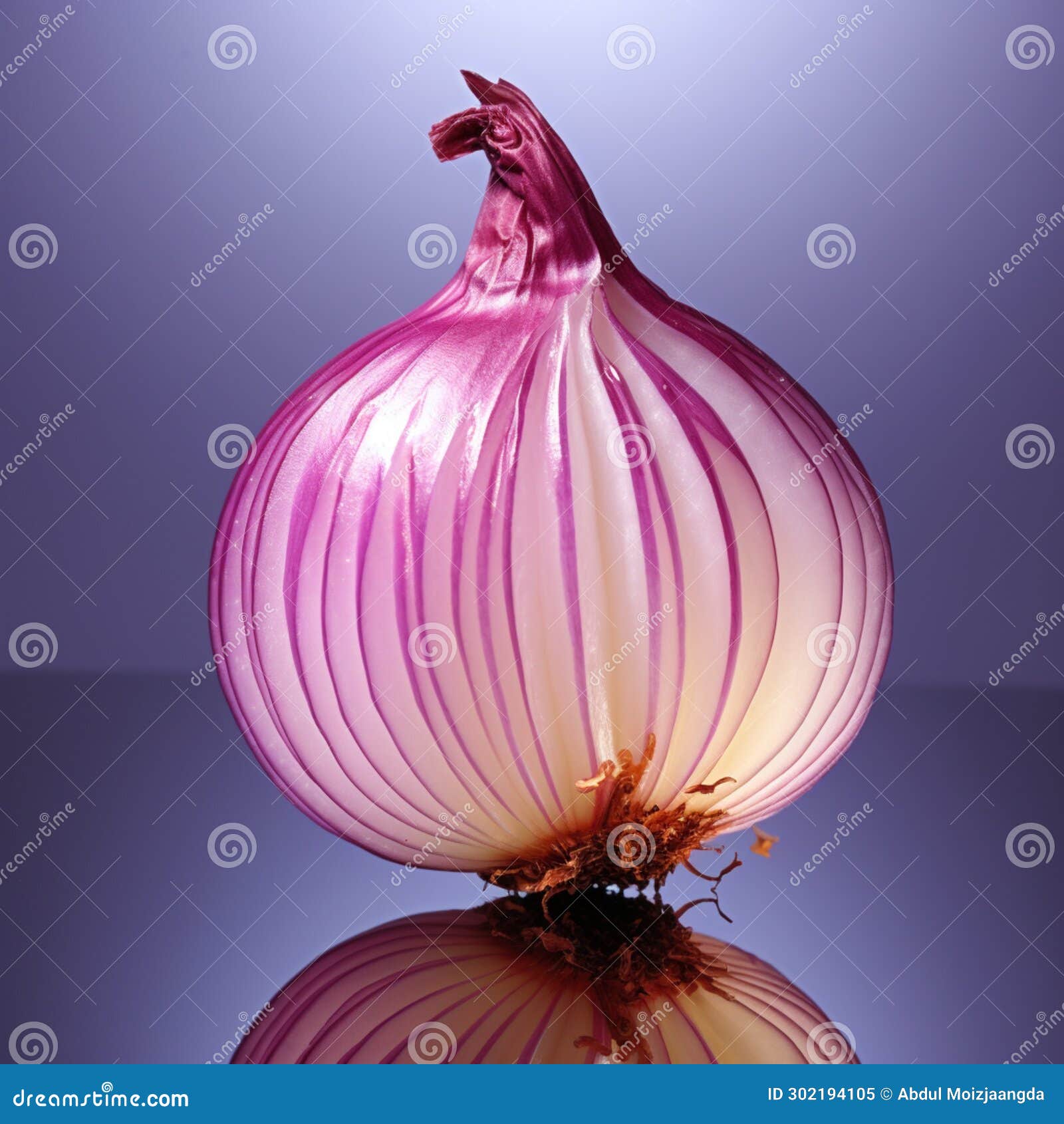 Translucent Red Onion Layers Artfully Presented on a Pink Purple ...