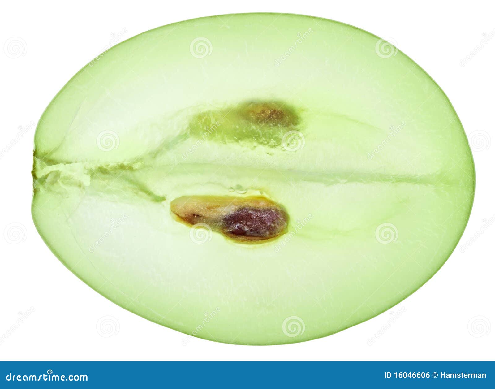 Translucent Slice of Green Grape Fruit Stock Photo - Image of juicy ...