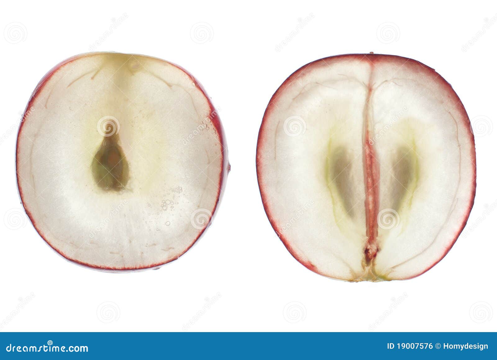 Translucent Slice of Red Grape Stock Photo - Image of healthy ...