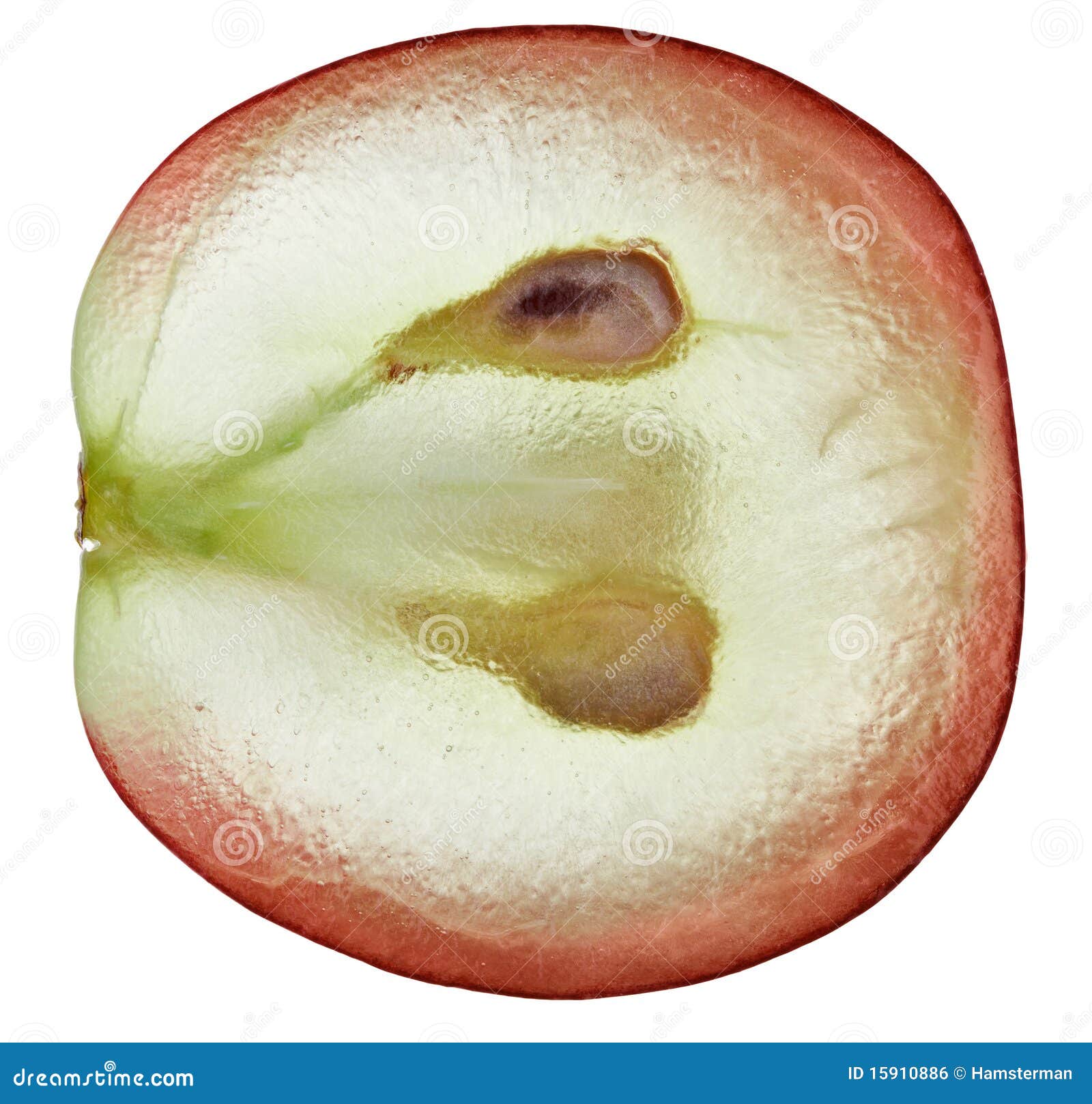 Translucent Slice of Red Grape Fruit Stock Photo - Image of healthy ...