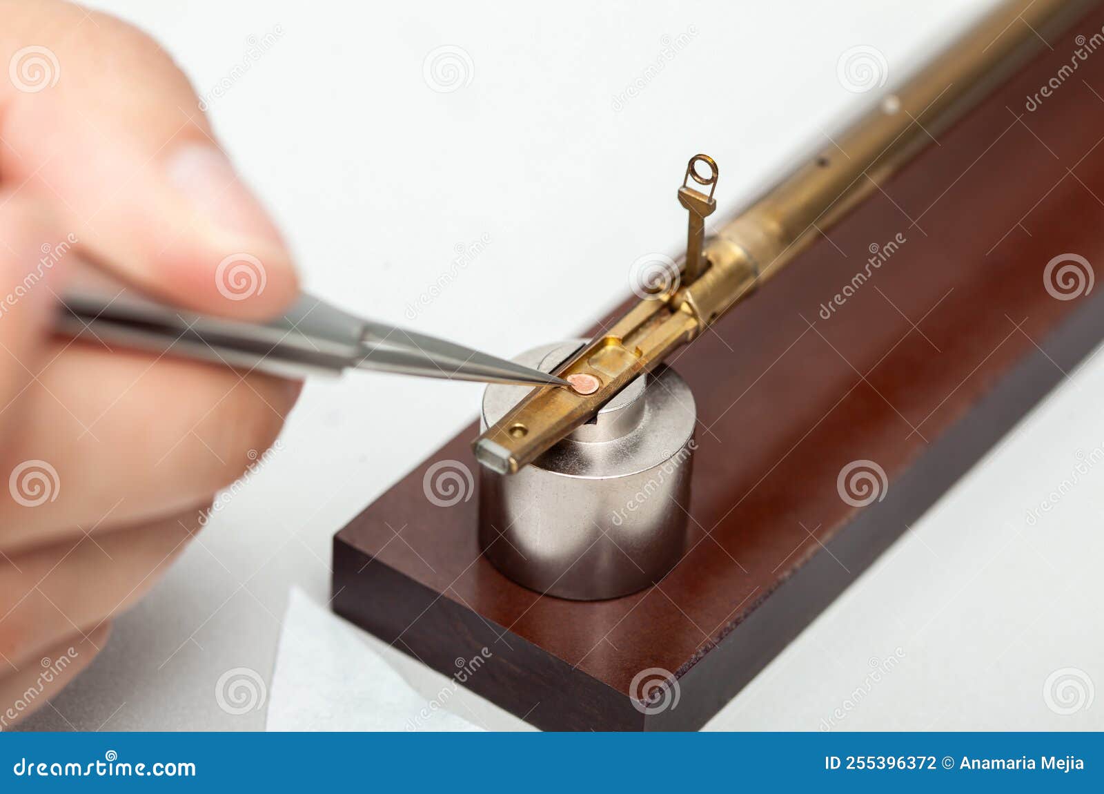 Transmission Electron Microscope Sample Holder Been Loaded with an ...