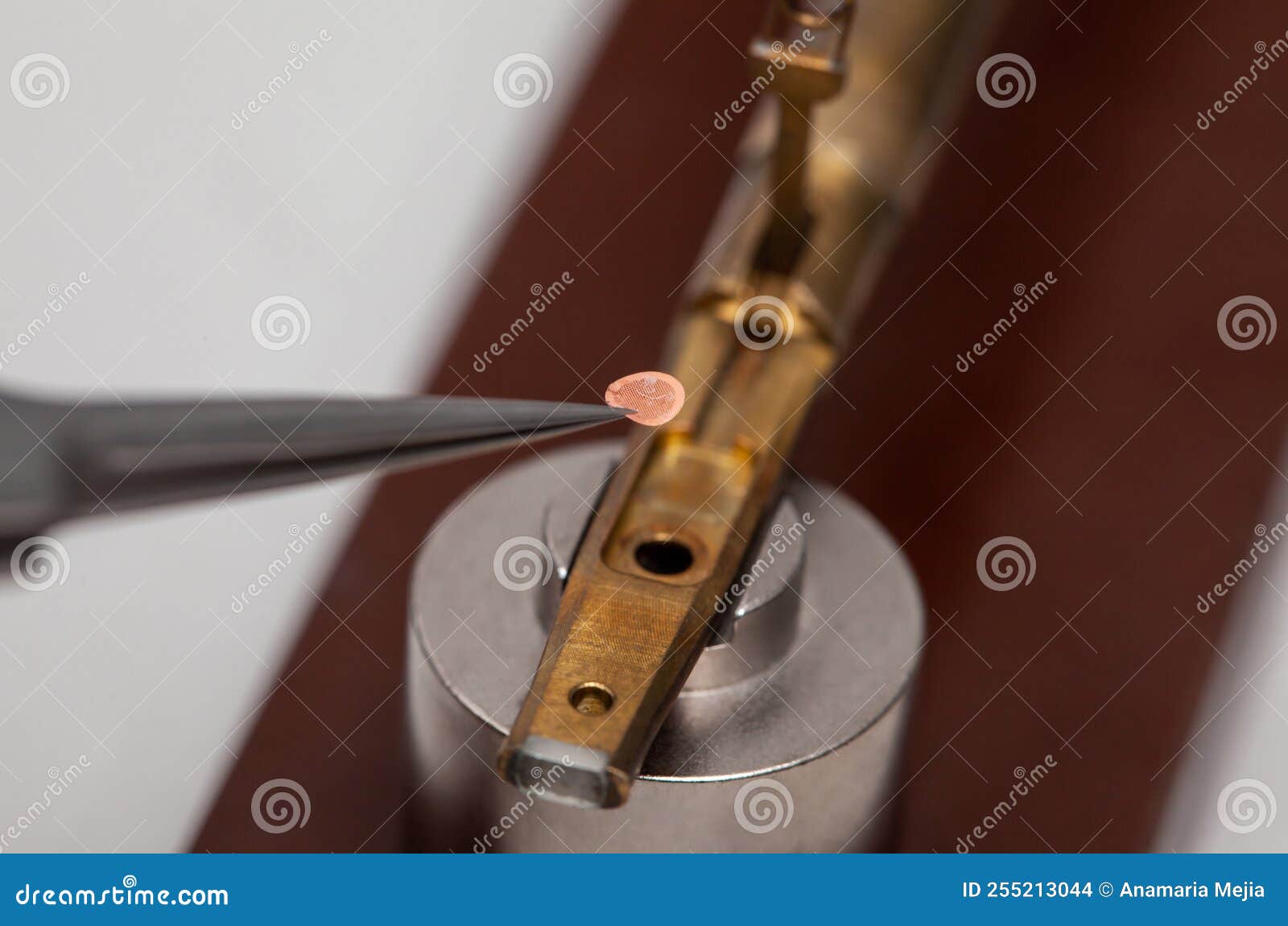 Transmission Electron Microscope Sample Holder Been Loaded with an ...
