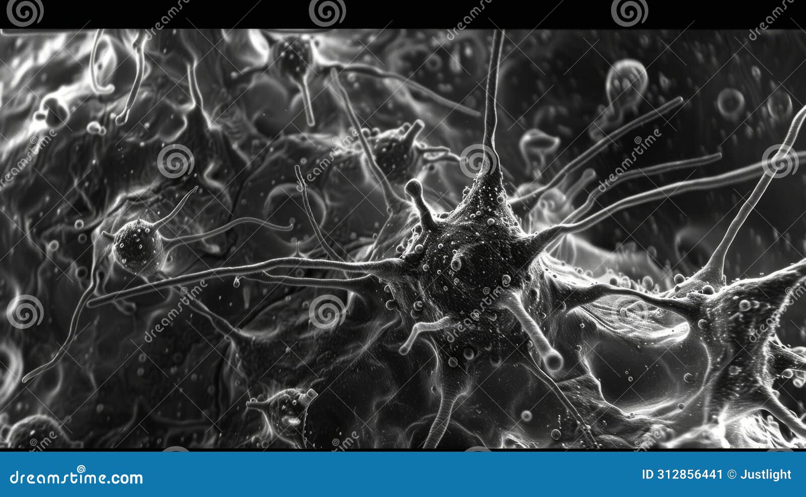 A Transmission Electron Microscopy Image Capturing the Complex ...