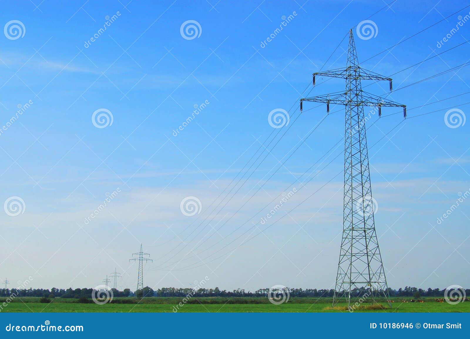Transmission line stock photo. Image of pole, field, grassland - 10186946