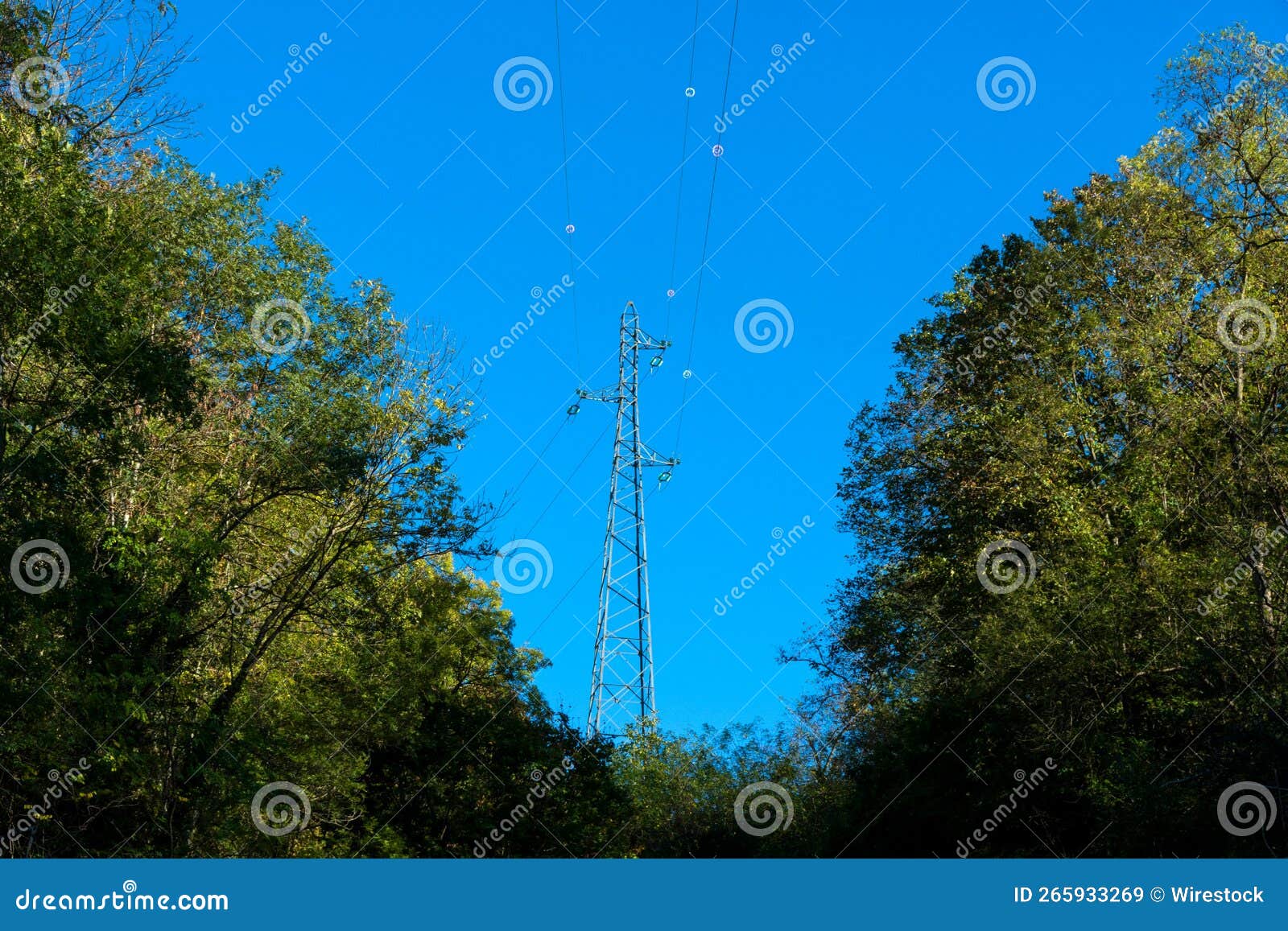 Transmission Tower between Green Trees Stock Image - Image of leaves ...