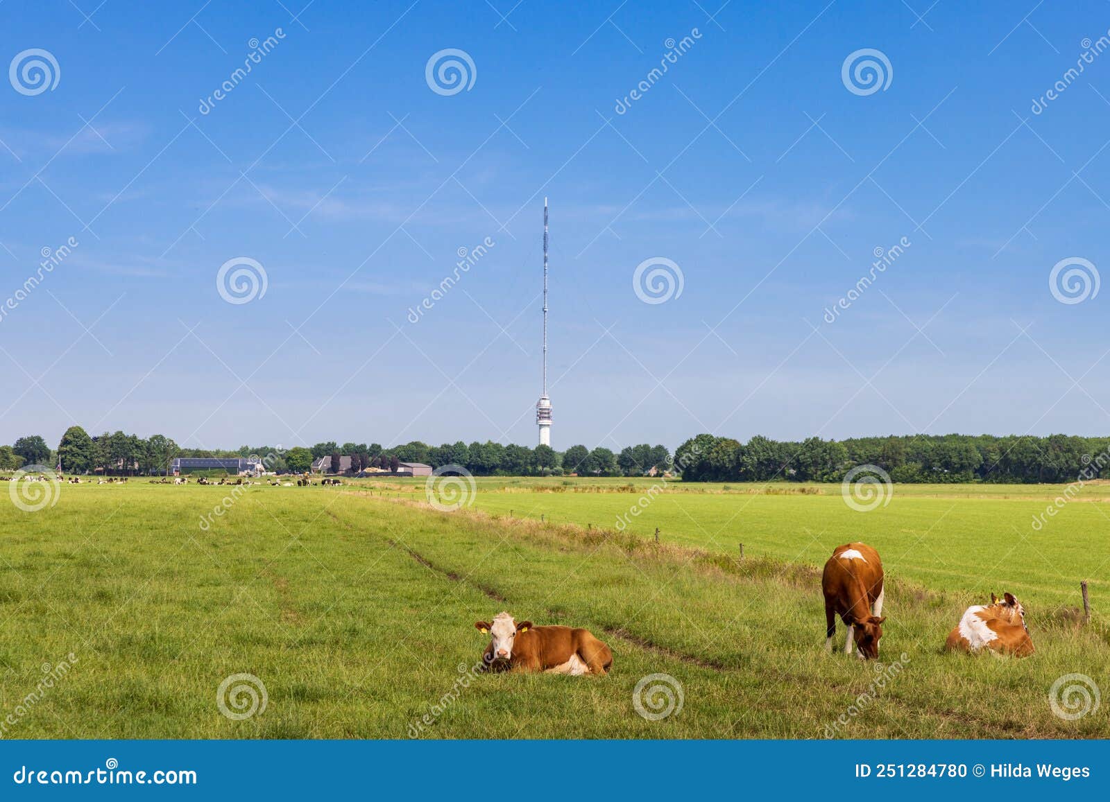 Transmission Tower Smilde the Netherlands Stock Photo - Image of ...
