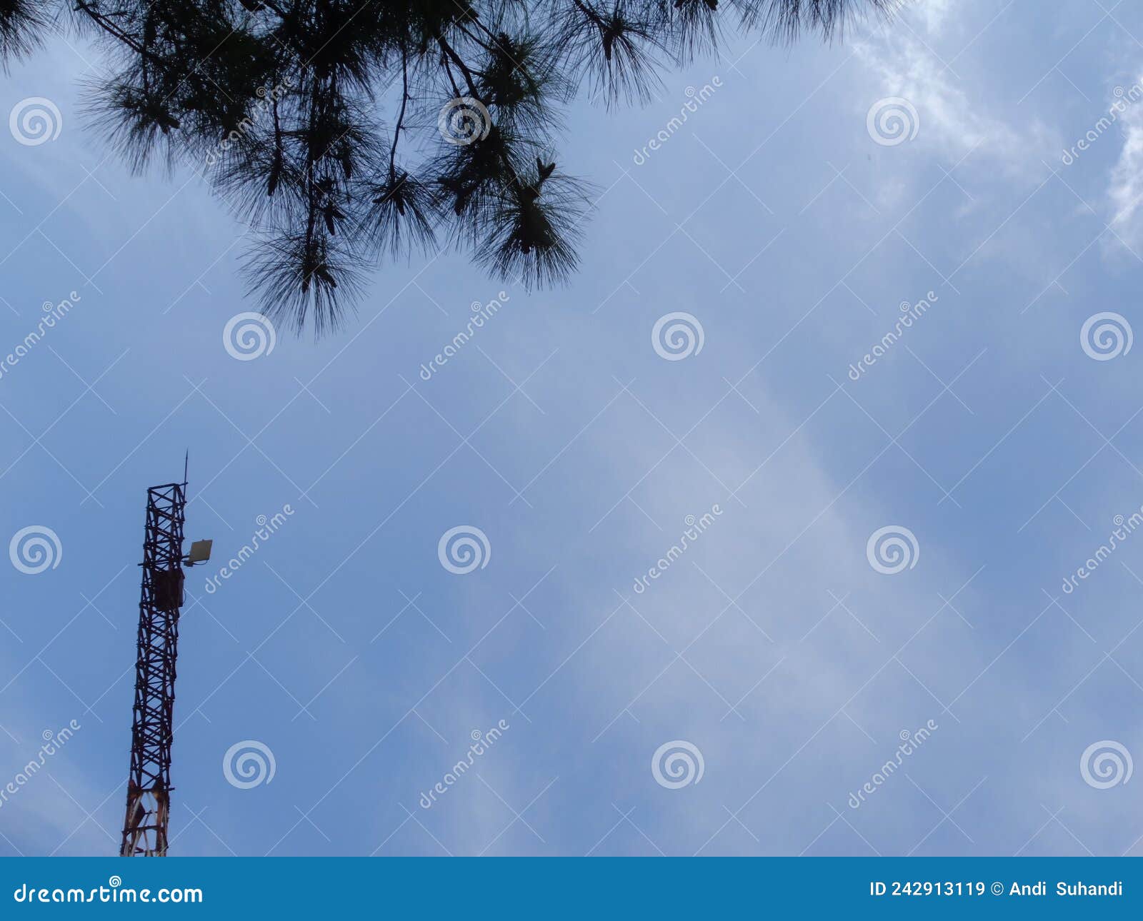 Transmitter and Tree Leaves on the Background of Blue Sky and White ...