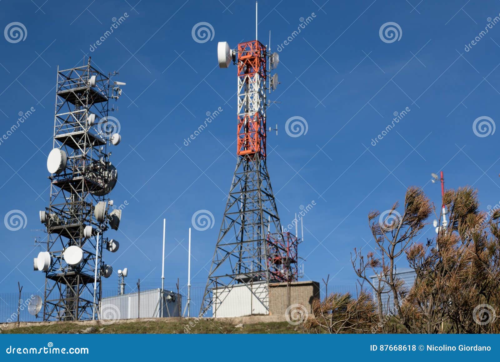 Trellis With Antenna For The Repetition Stock Image | CartoonDealer.com ...