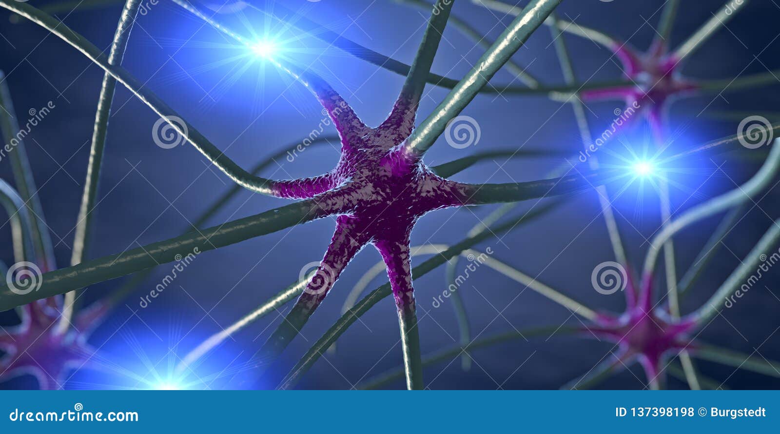 Transmitting Synapse,neuron or Nerve Cell Stock Photo - Image of ...