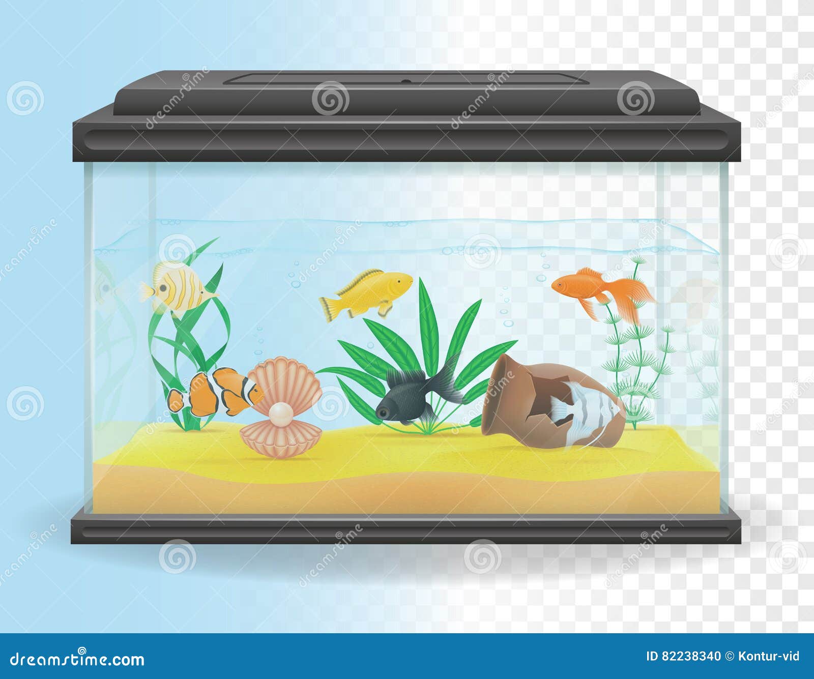 Transparent Aquarium Vector Illustration Habitat Water Tank House ...