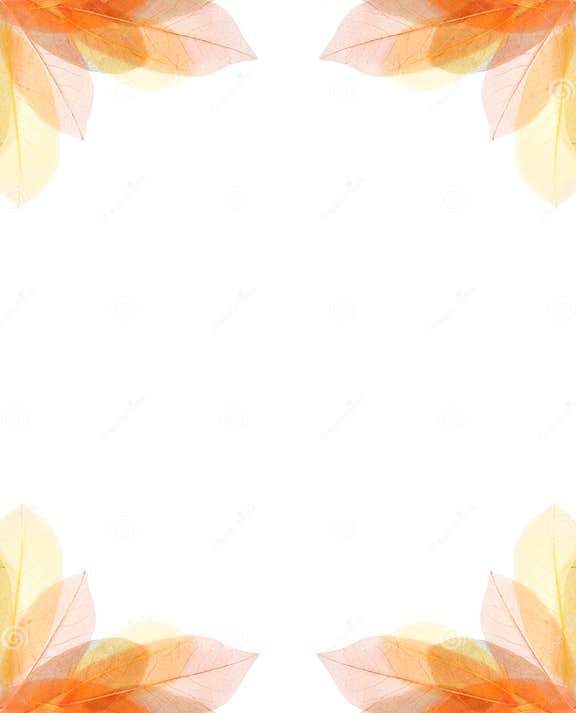 Transparent Autumn Leaves Frame Stock Photo - Image of isolated, nature ...