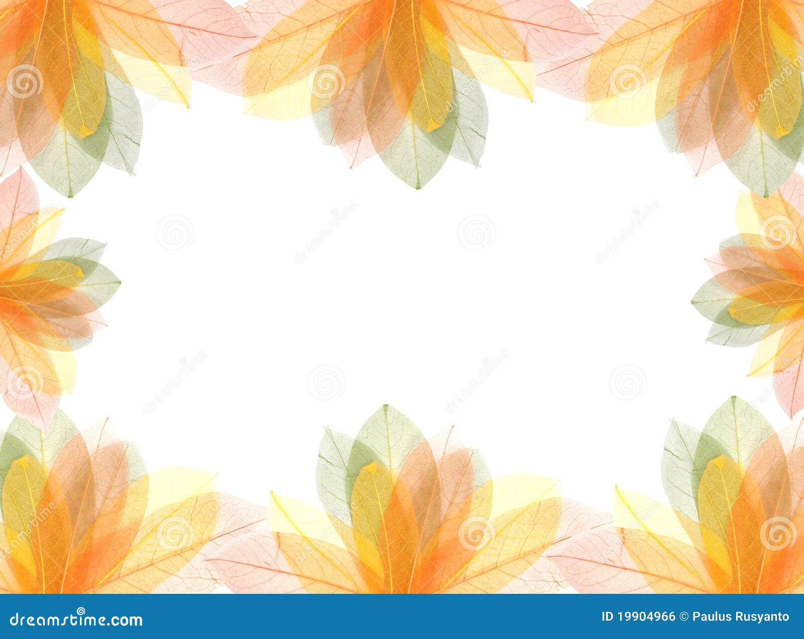 Transparent Autumn Leaves Frame Stock Photo - Image of isolated ...
