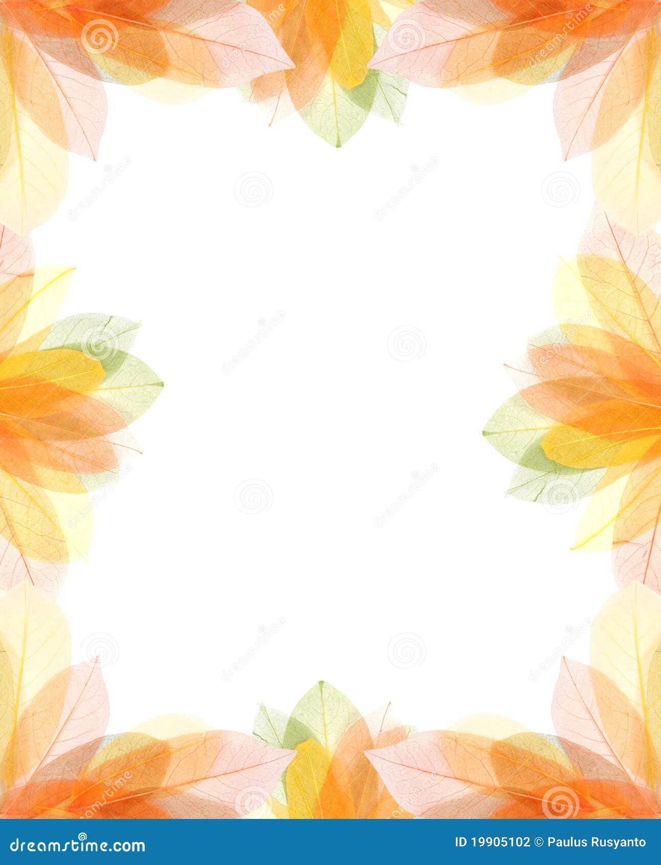 Transparent Autumn Leaves Frame Stock Photo - Image of ornament, corner ...
