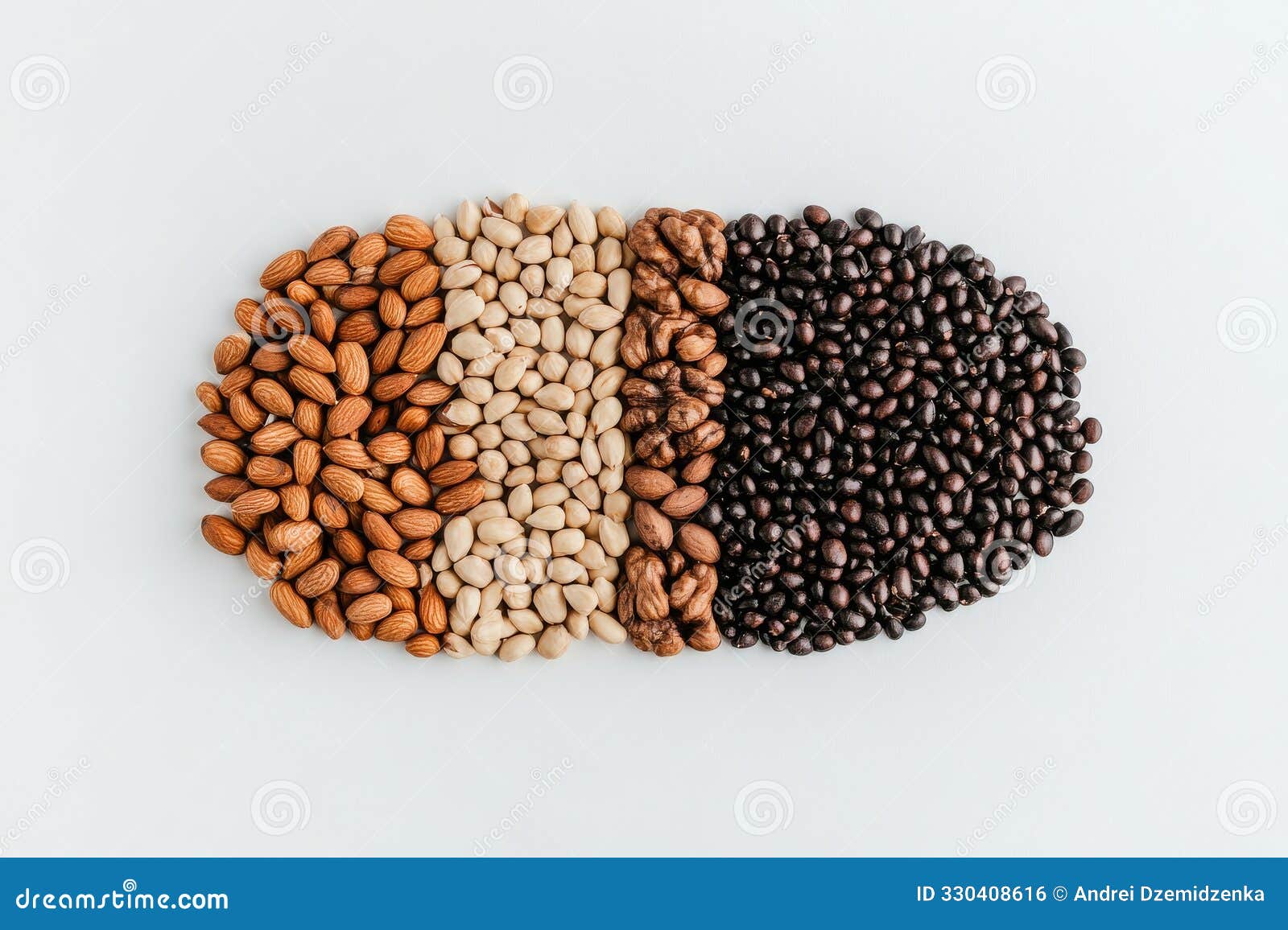 On a Transparent Background, the Human Brain Appears As Nuts and Seeds ...