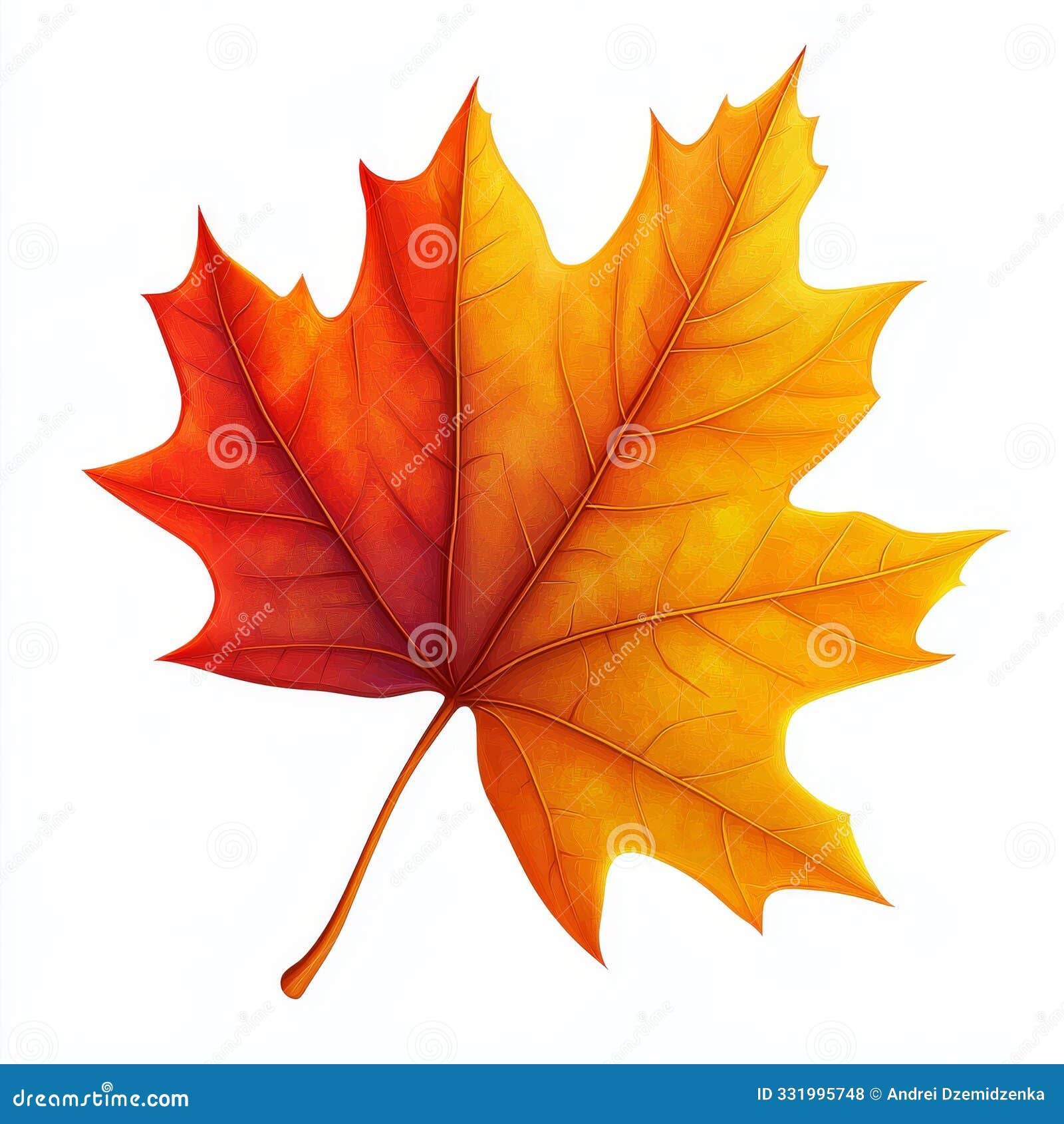 Transparent Background with a Single Autumn Maple Leaf Isolated on ...