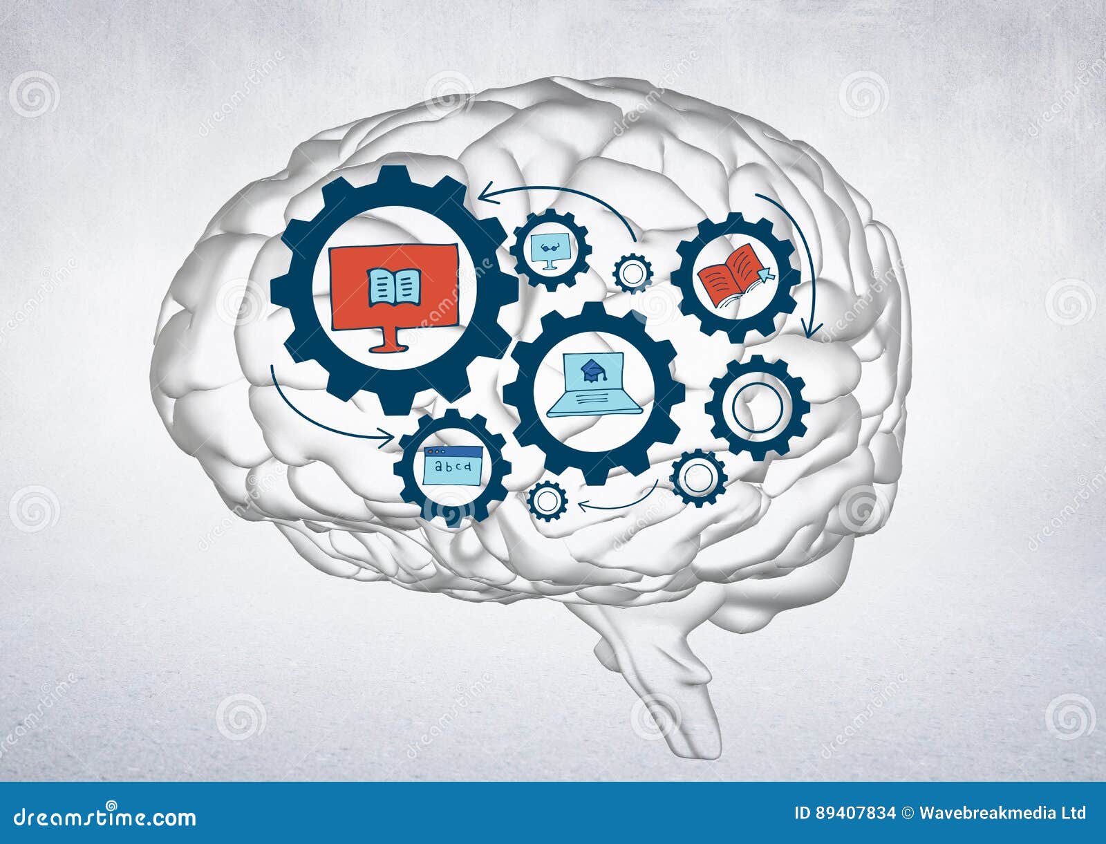 Transparent Brain with Blue Gear Graphics Against White Wall Stock ...