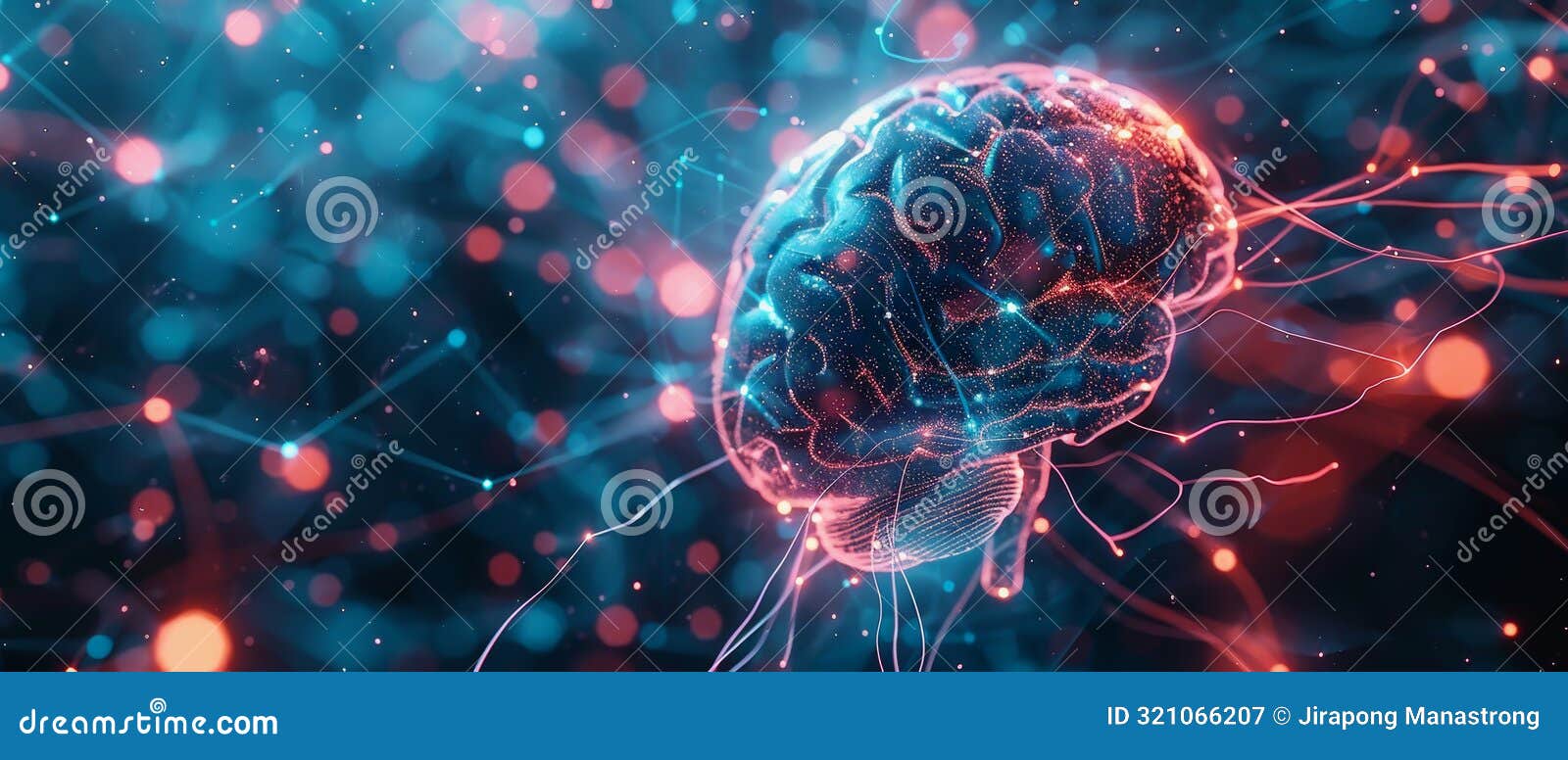 Transparent Brain Structure, Learning Neuron of Artificial Intelligence ...