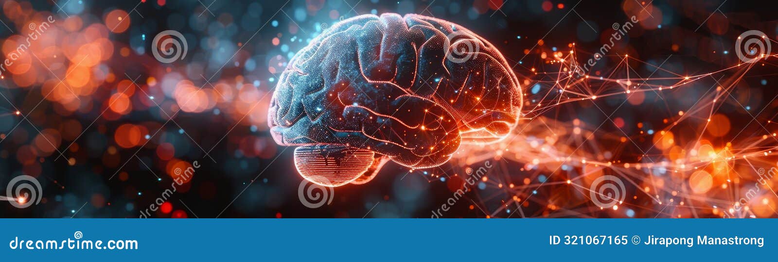 Transparent Brain Structure, Learning Neuron of Artificial Intelligence ...