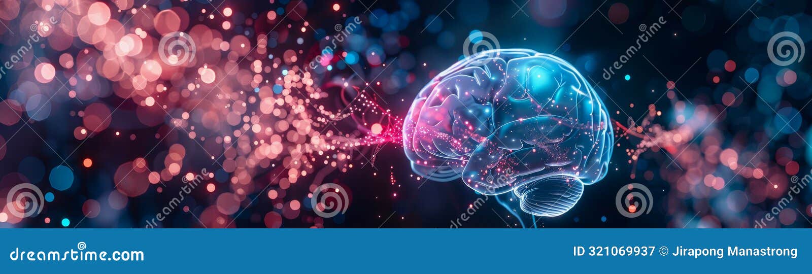 Transparent Brain Structure, Learning Neuron of Artificial Intelligence ...