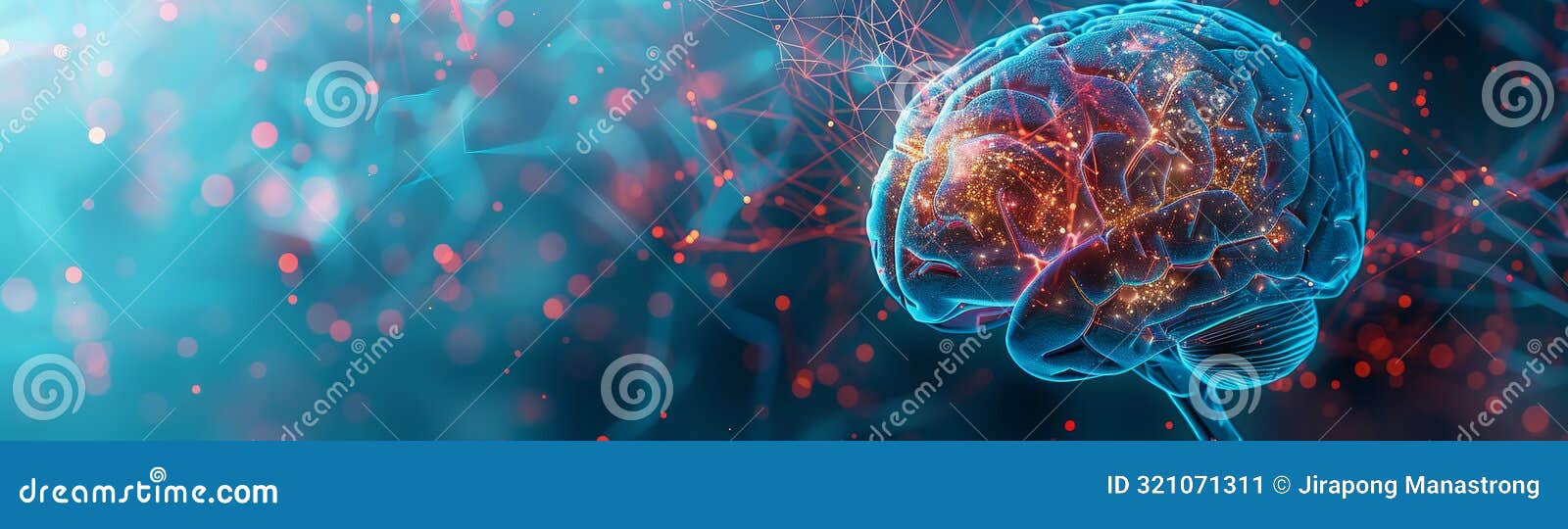 Transparent Brain Structure, Learning Neuron of Artificial Intelligence ...