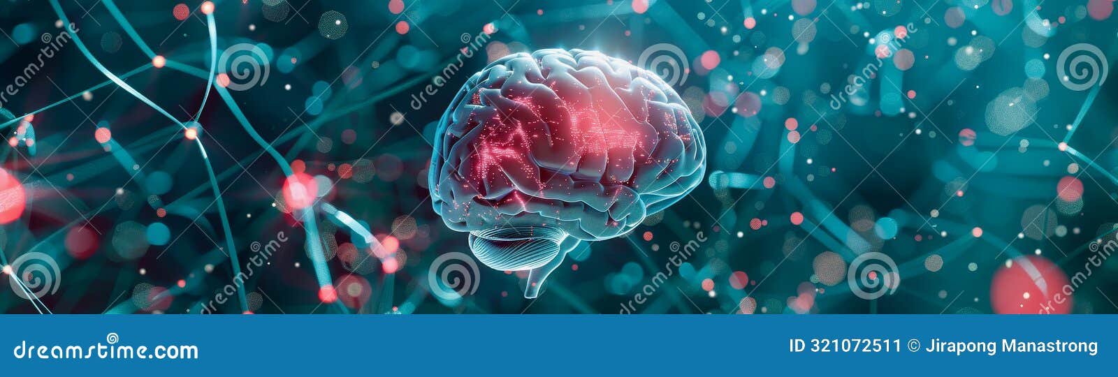 Transparent Brain Structure, Learning Neuron of Artificial Intelligence ...