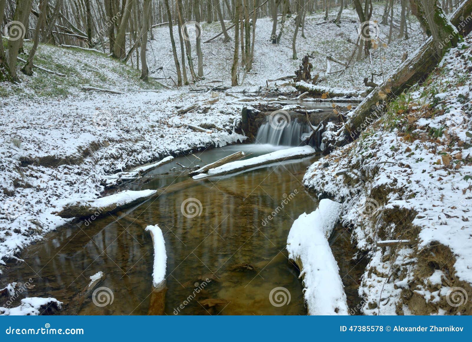 Transparent brook stock photo. Image of branch, cold - 47385578