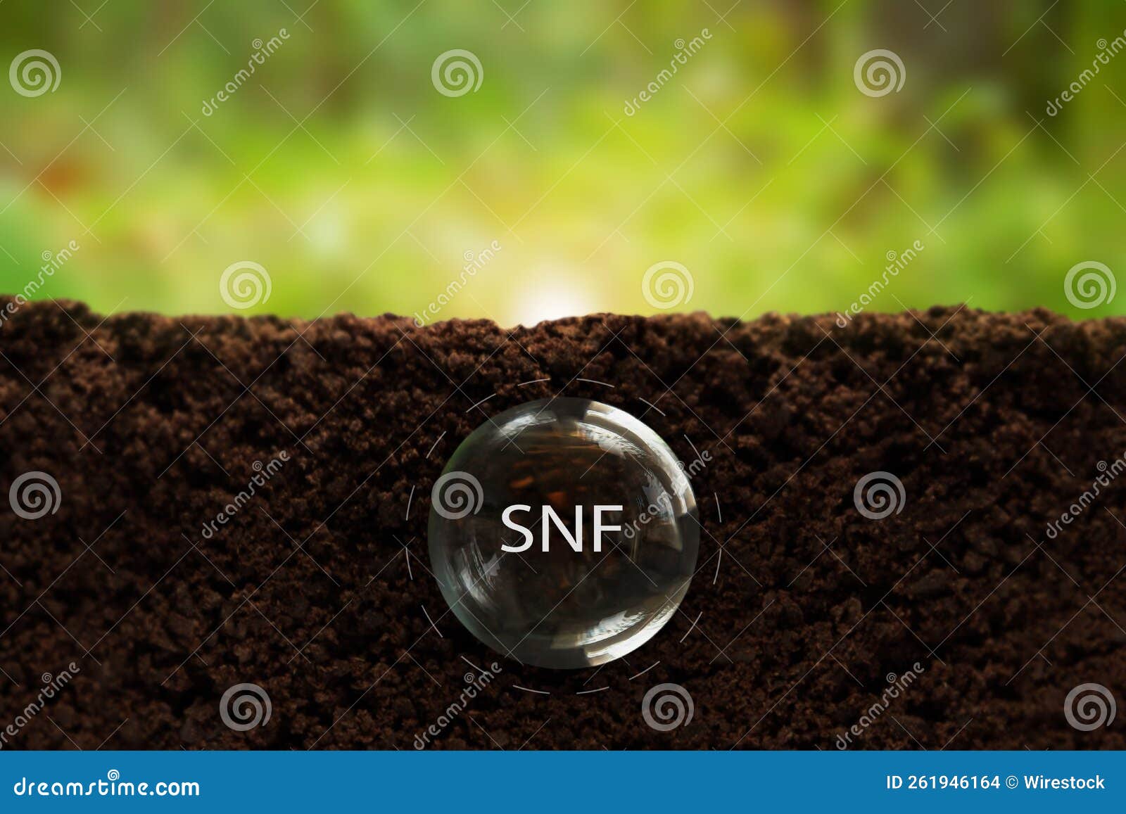 Transparent Capsule with SNF Formula Underground - the Concept of ...