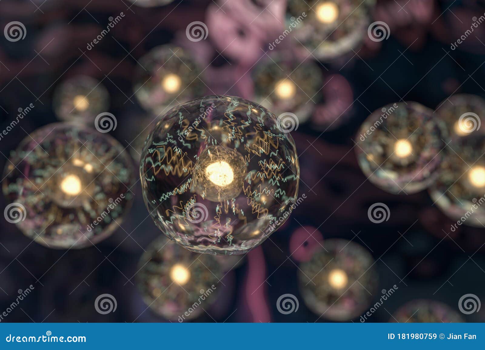 Transparent Cells With Splitting Nucleus, Cell Membrane And Visible ...