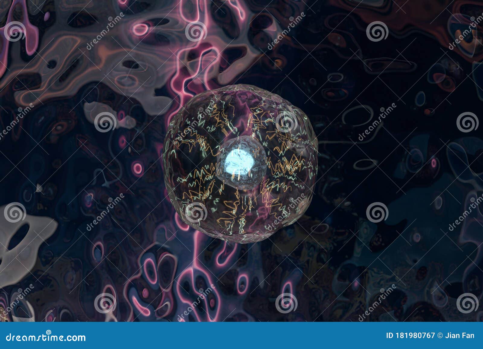 Transparent Cells With Splitting Nucleus, Cell Membrane And Visible ...