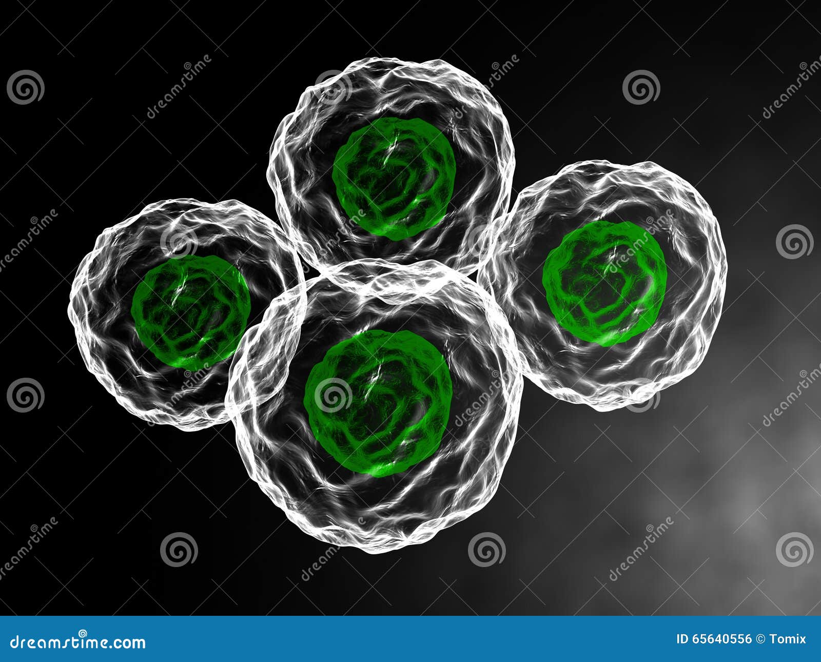 Transparent Cells - 3D Illustration Stock Illustration - Illustration ...