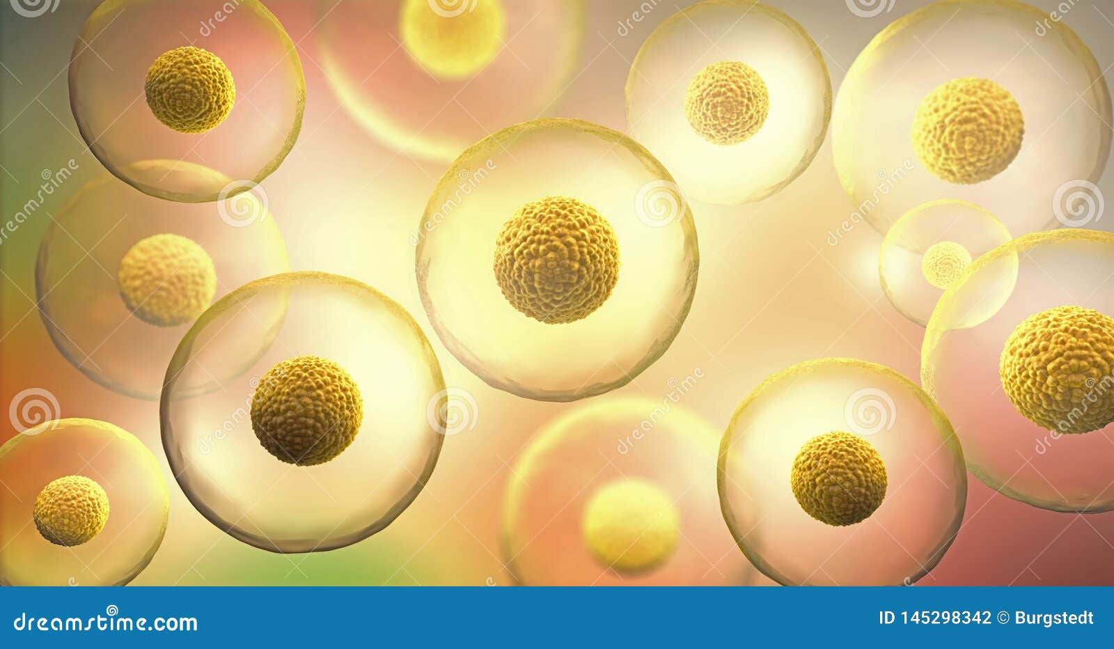 Transparent Cells with Nucleus on Yellow Background Stock Illustration ...