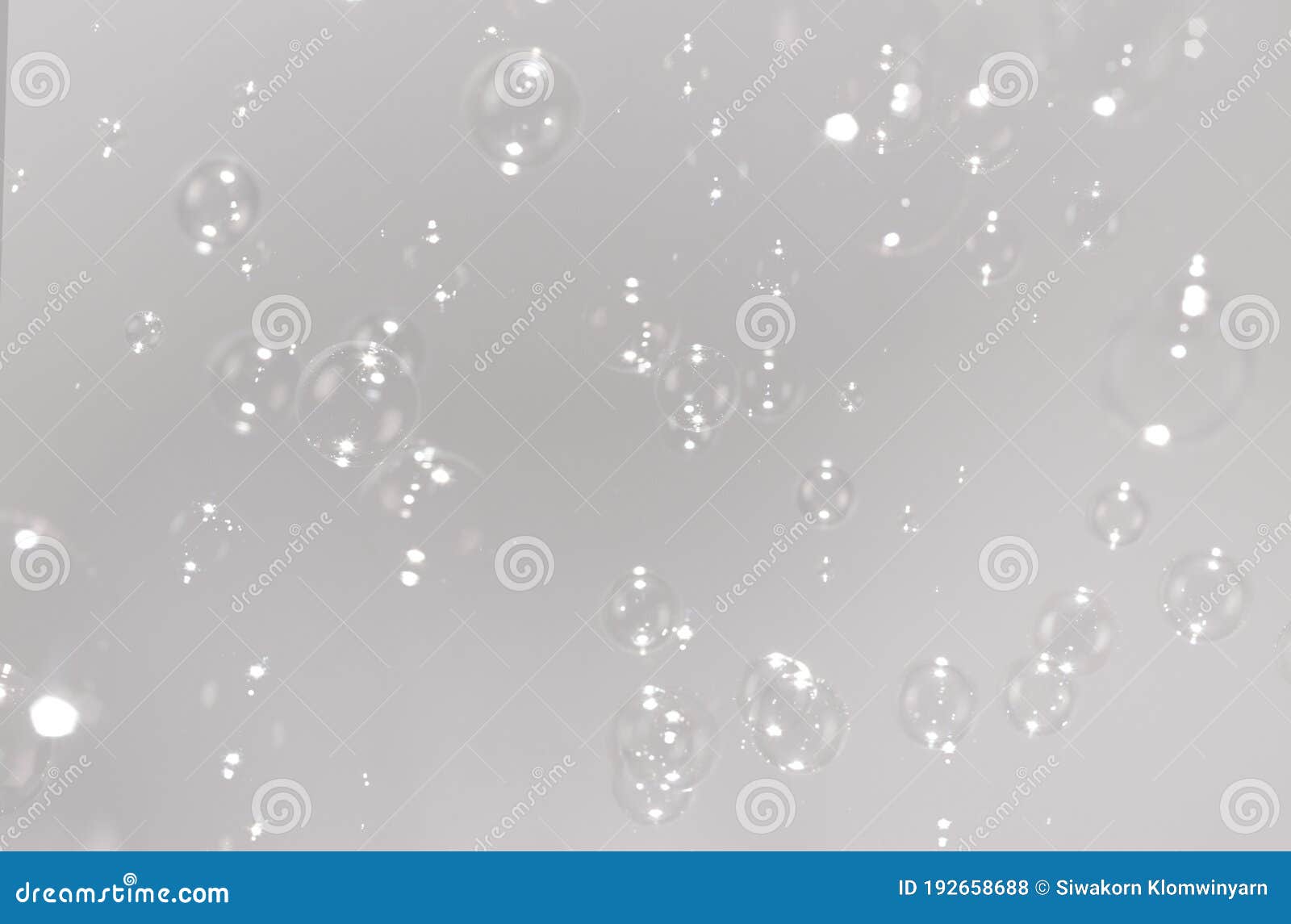 Transparent Clear Soap Bubbles Float on Gray Background. Stock Photo ...