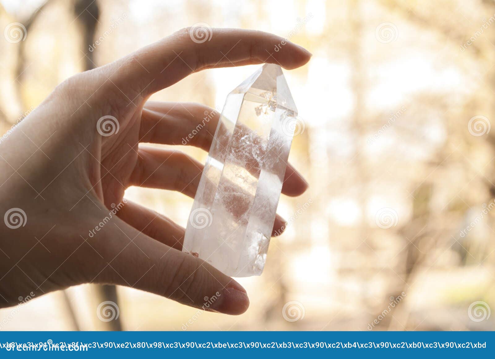 Transparent Crystal of Mountain Quartz in a Hand Stock Image - Image of ...